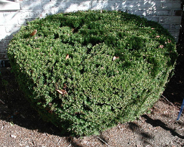 Oburrdale Inc. - 630-986-1919